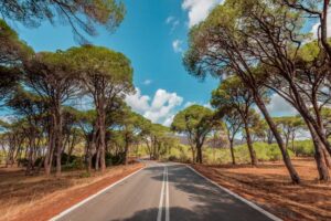 Peloponnes Urlaub 2025 • 11 wichtige Infos für deine Reise