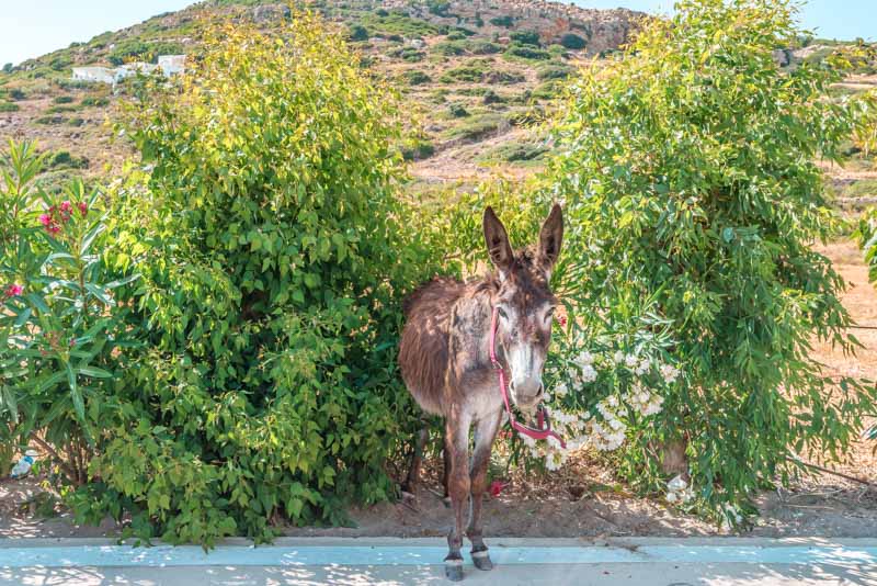Lipsi Greece • The 8 most beautiful sights & travel tips